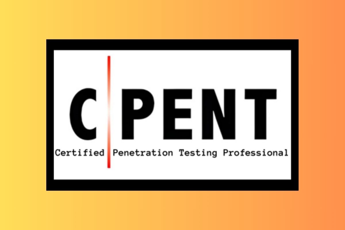 CPENT Course Training - Web App Consulting
